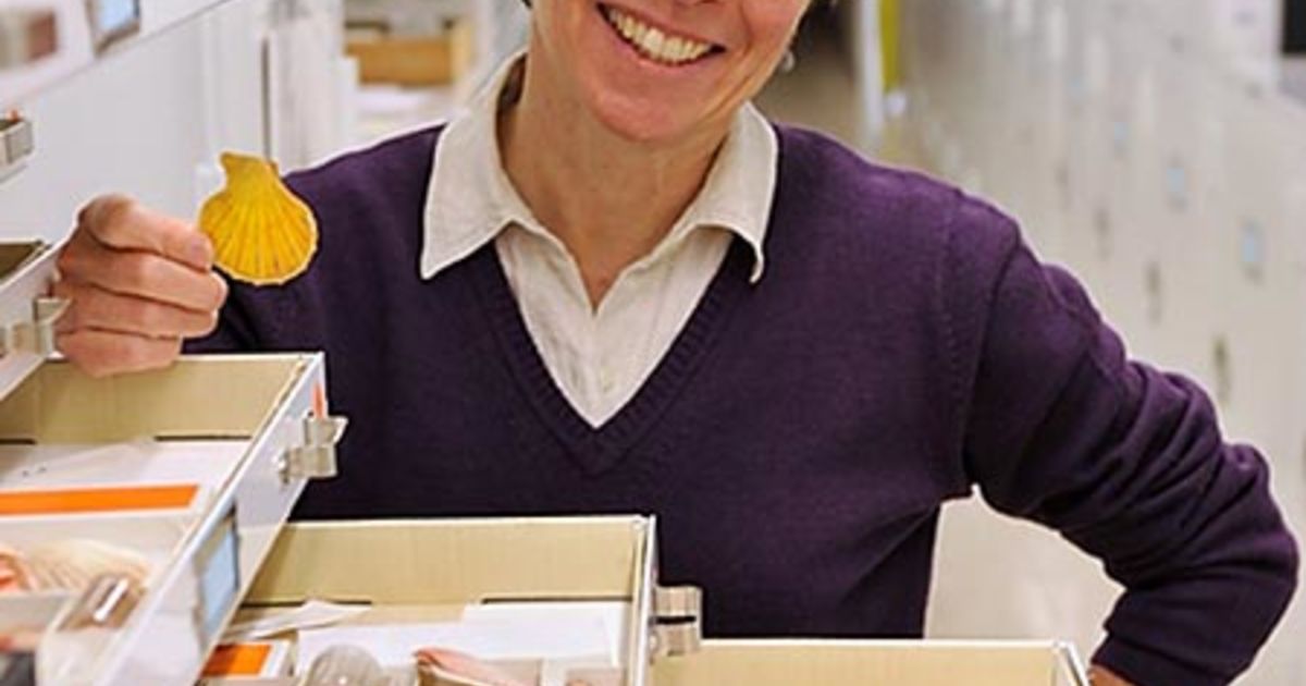 Sue Kidwell awarded 2020 Paleontological Society Medal | Committee on ...